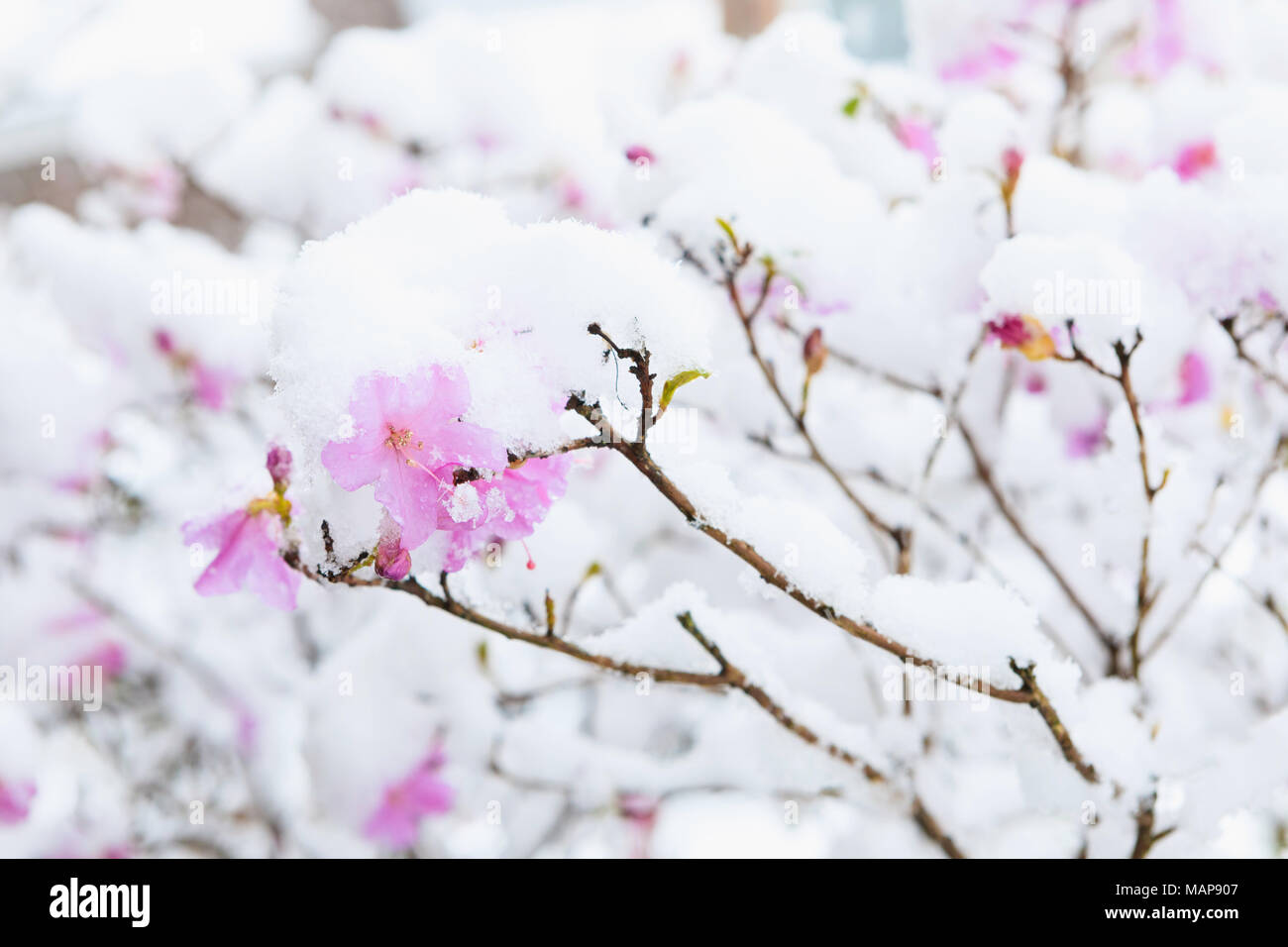 Snow at easter Holmfirth, Yorkshire. Picture date: Monday April 2, 2018 ...