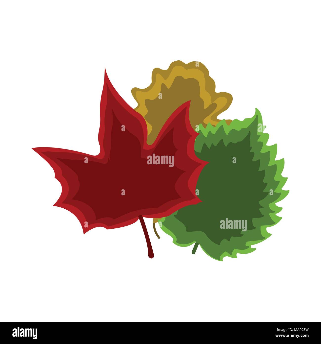 Set of leaf icon. Cartoon style. Colorful Vector Illustration Stock ...