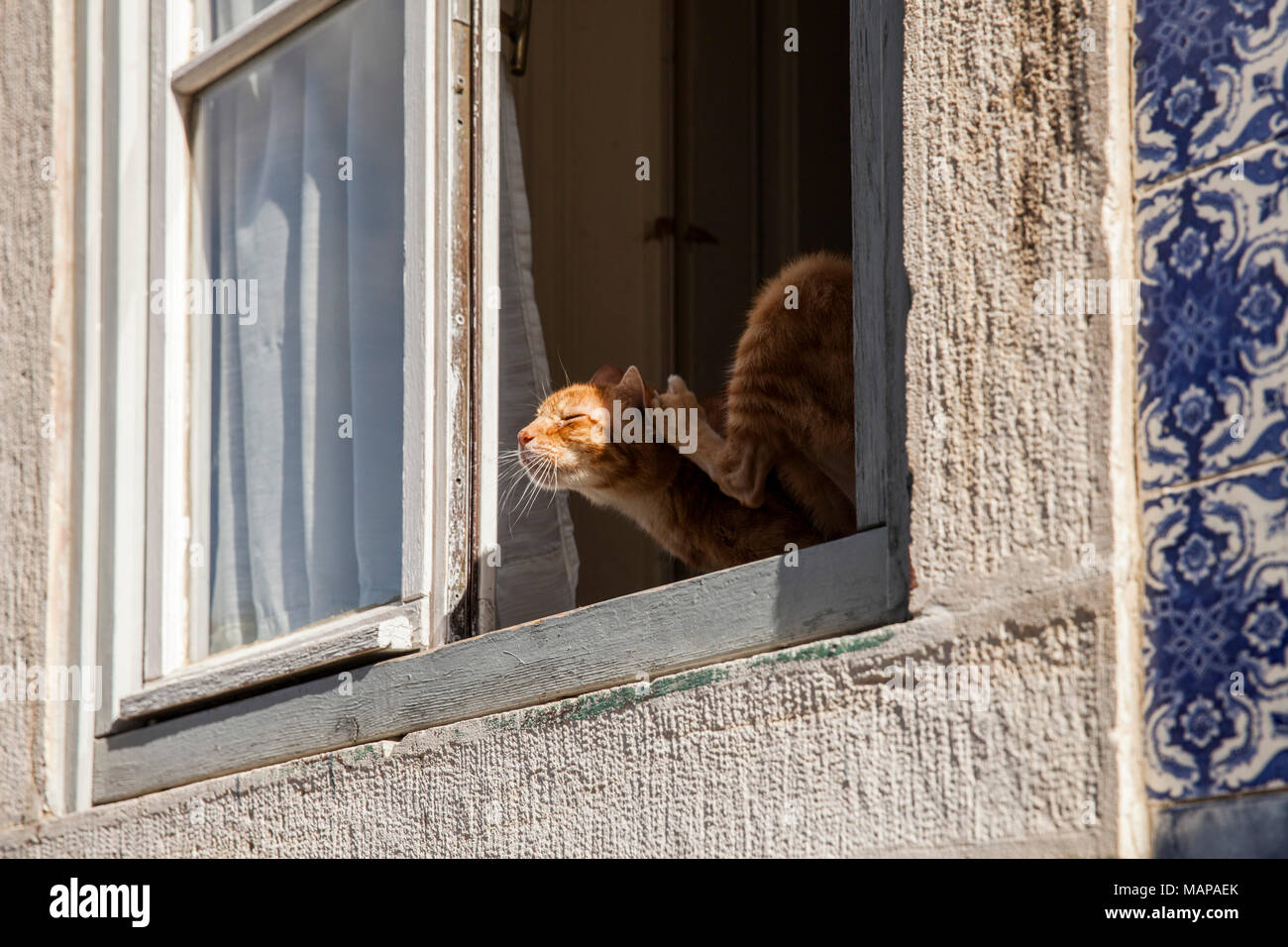 Discover Every Little Secret Of The City Stock Photo - Alamy