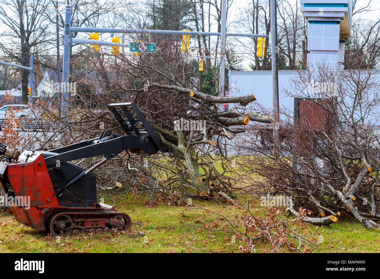 Wood chipper machine releasing the shredded woods into a truck chipper ...
