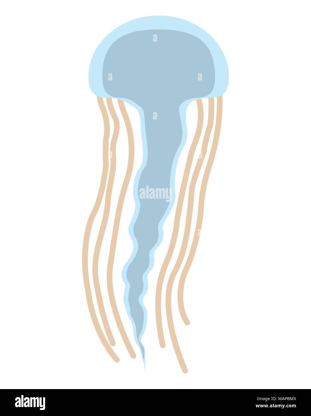 Jellyfish flat icon. Cartoon Vector illustration Stock Vector Image ...
