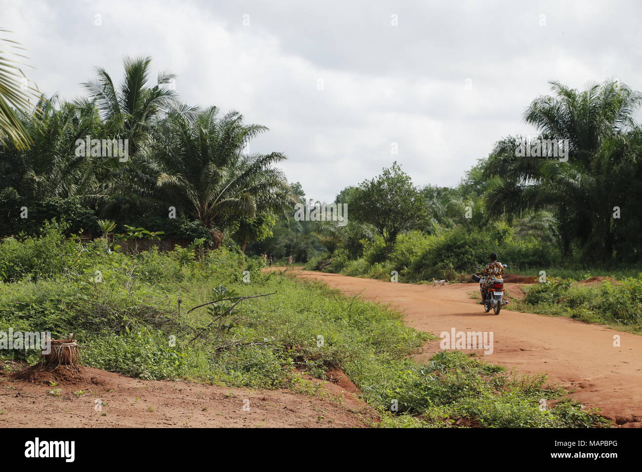 Village life in Benin Stock Photo - Alamy