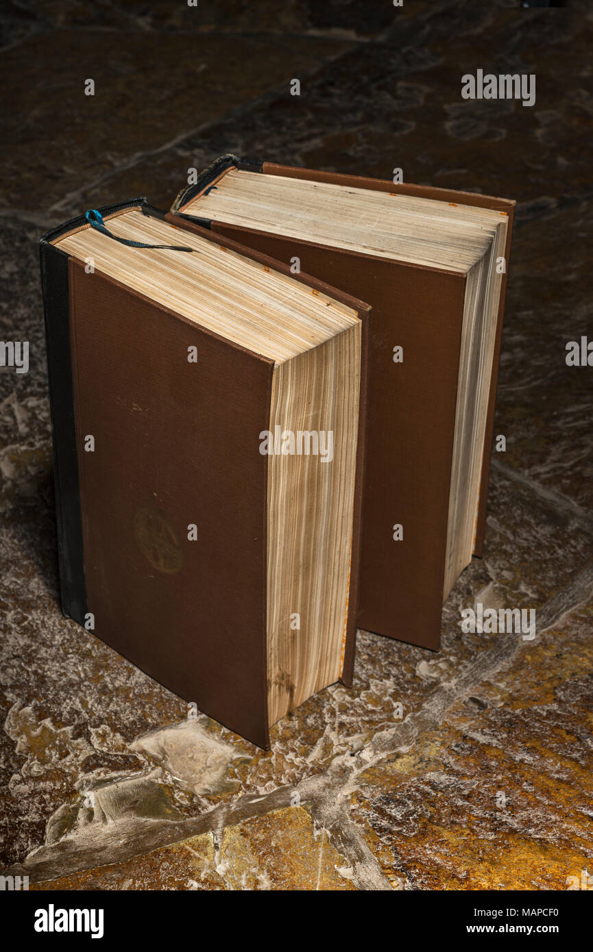 two old brown books standing on a stone floor Stock Photo - Alamy
