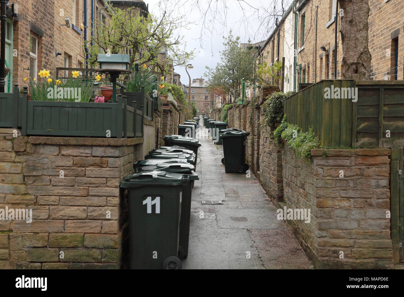 Back to back terraced houses with rubbish bins ready for collection in ...