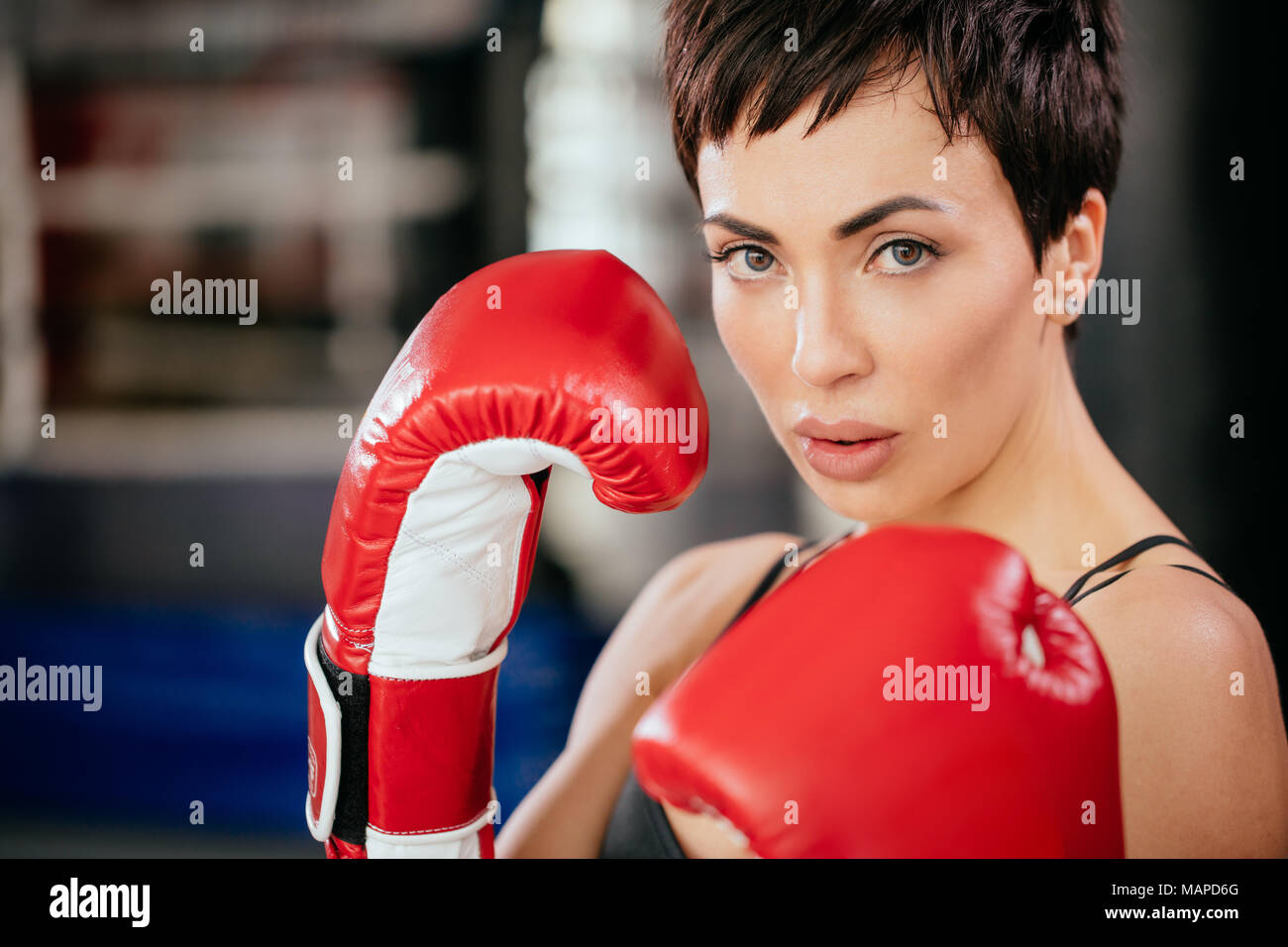 Hairstyle boxing hi-res stock photography and images - Alamy