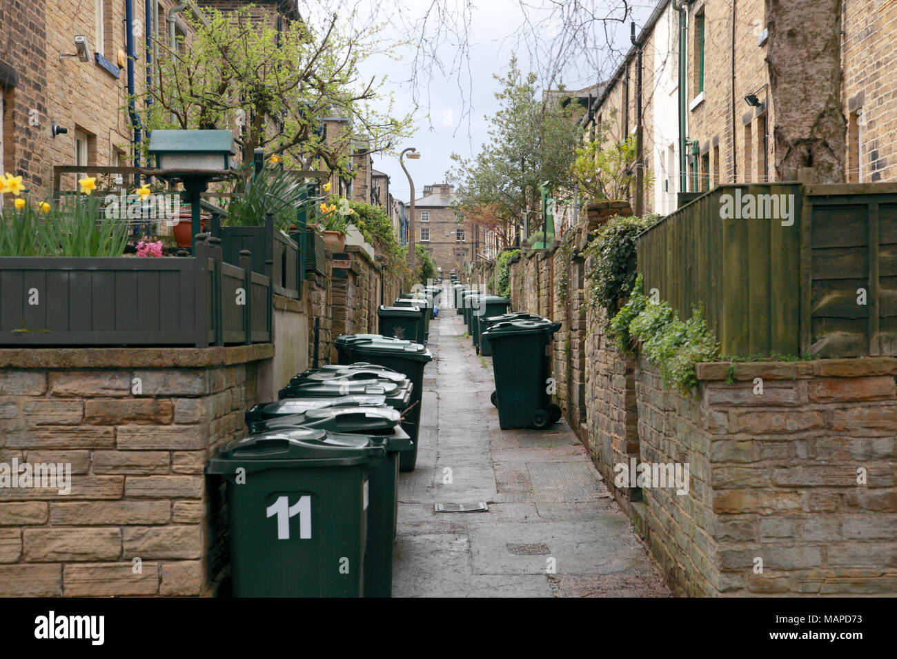 Back to back terraced houses with rubbish bins ready for collection in ...