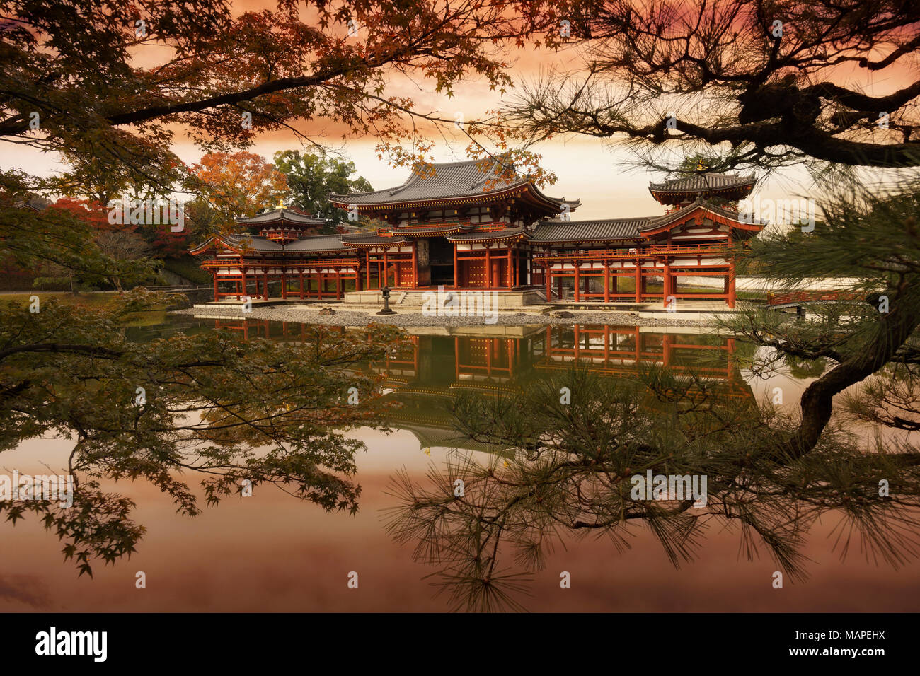 Byodoin temple kyoto hi-res stock photography and images - Alamy