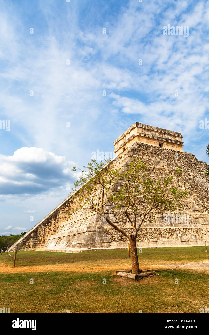 Mayan sacred tree hi-res stock photography and images - Alamy