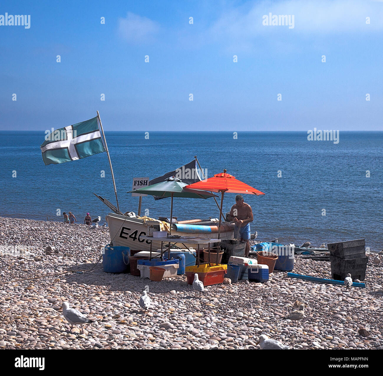 English shingle beach hi-res stock photography and images - Alamy
