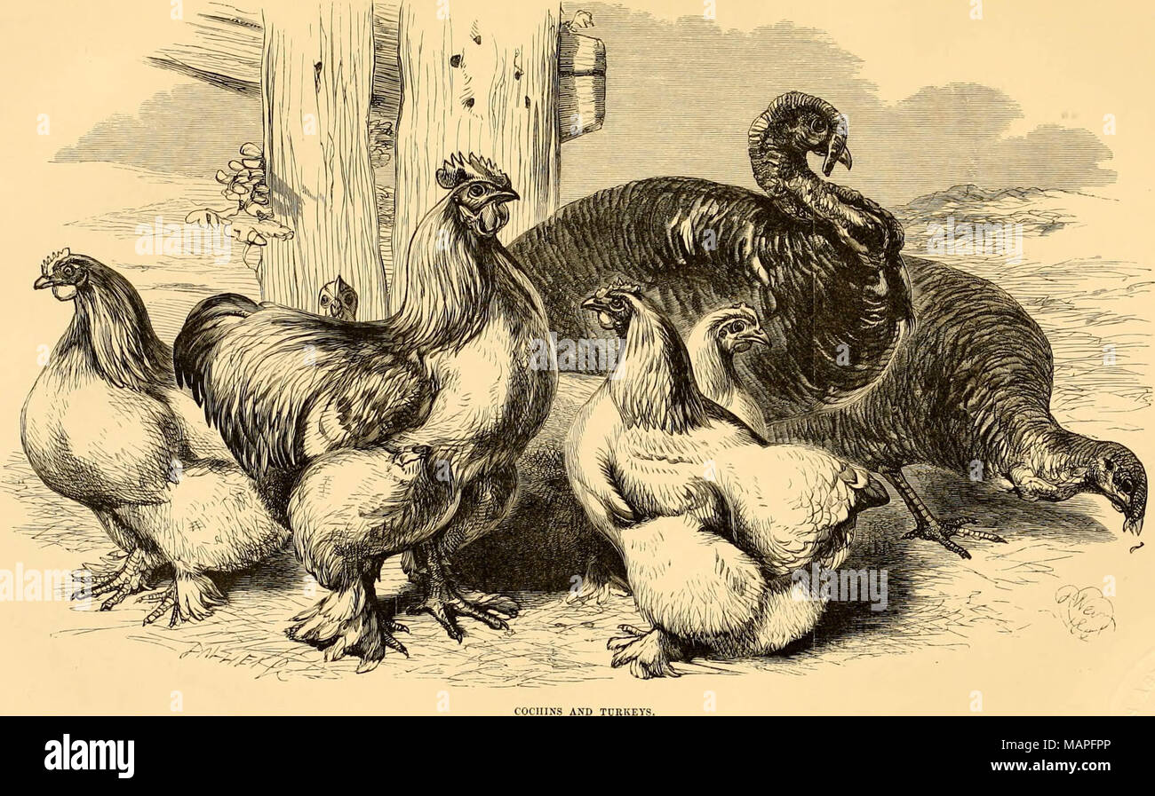 "Agriculture, ancient and modern: a historical account of its ...