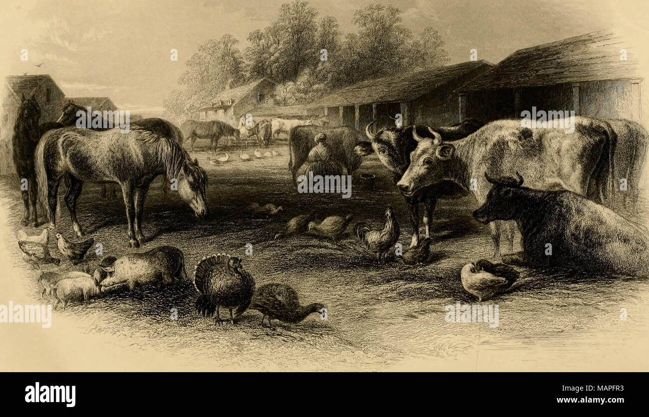 "Agriculture, ancient and modern: a historical account of its ...