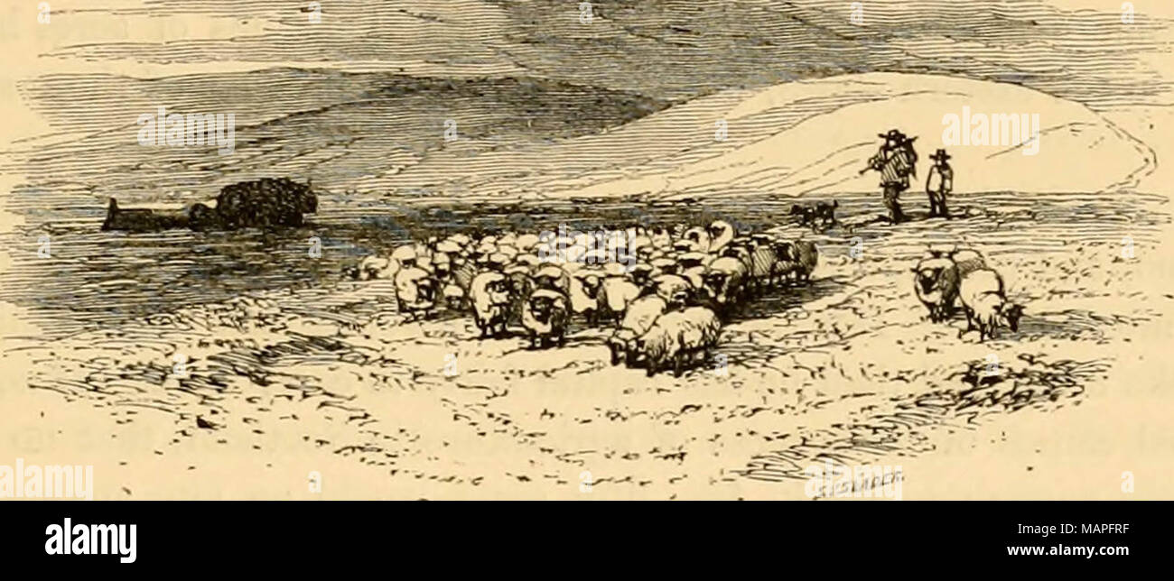 "Agriculture, ancient and modern: a historical account of its ...