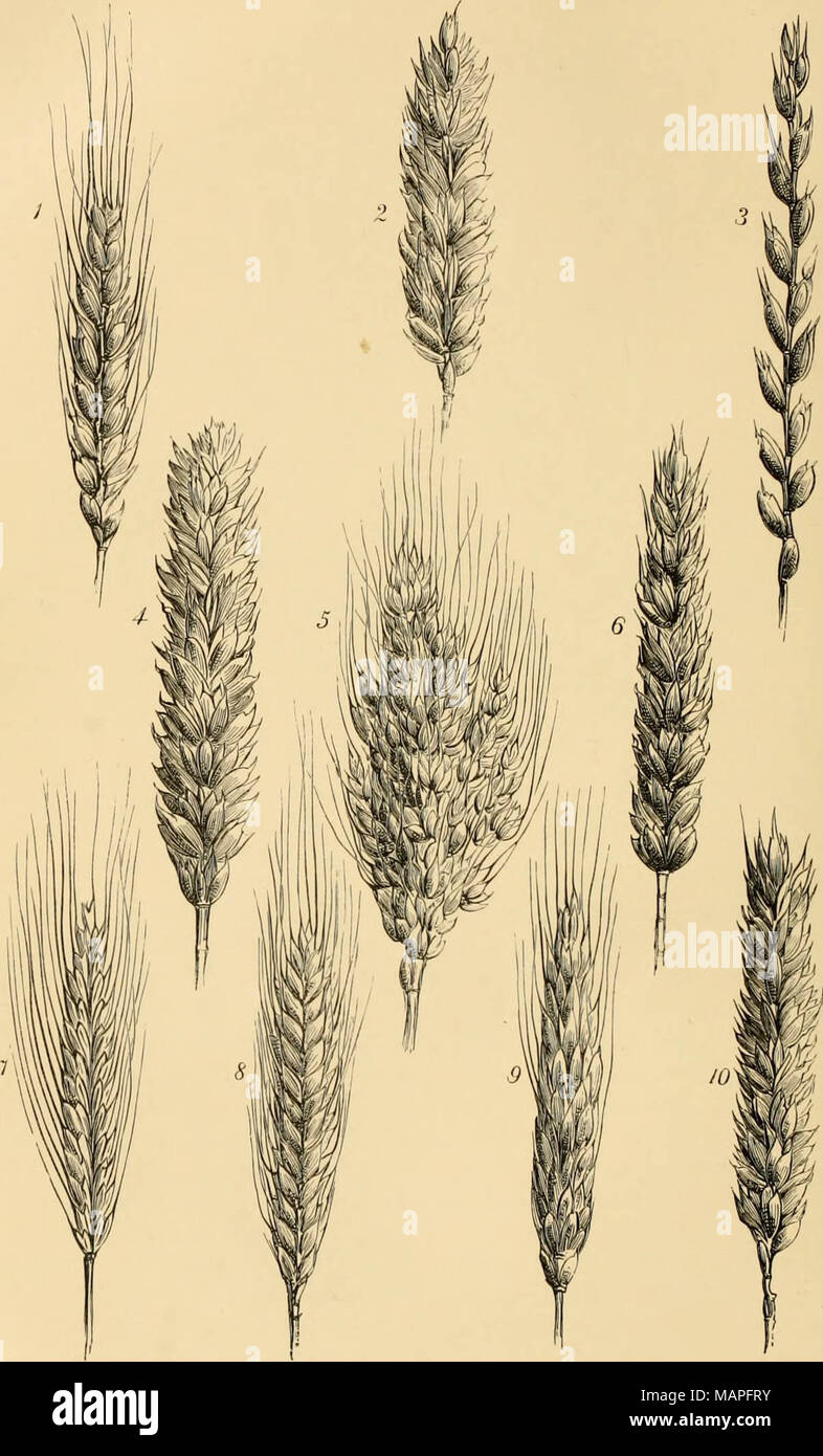 "Agriculture, ancient and modern: a historical account of its ...