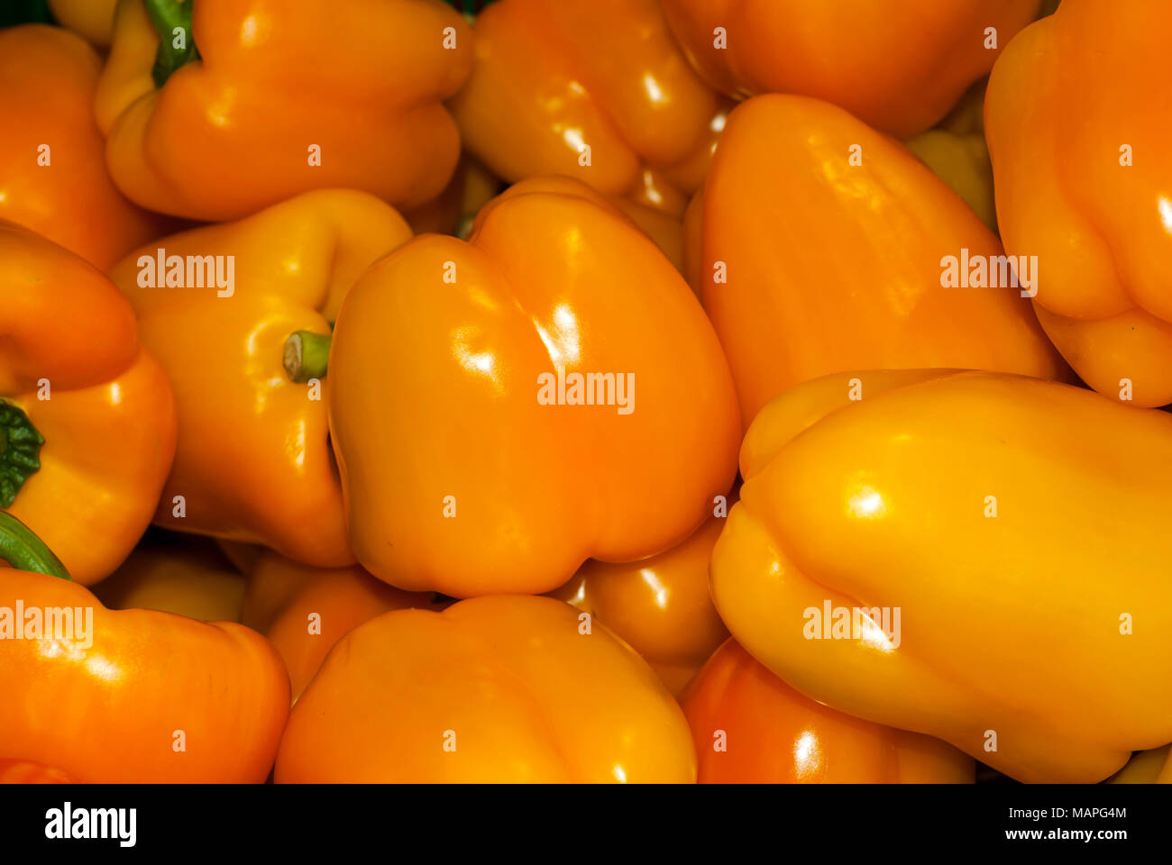background - bright yellow ripe fruits of sweet capsicum bell pepper ...