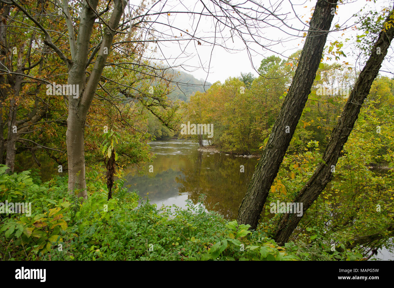 River among fall color trees Stock Photo - Alamy