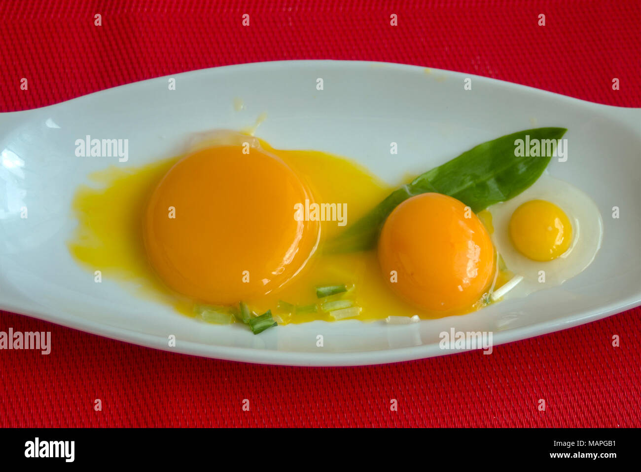 Three raw egg yolks of duck, hen and quail. With the leaf of ramsons ...