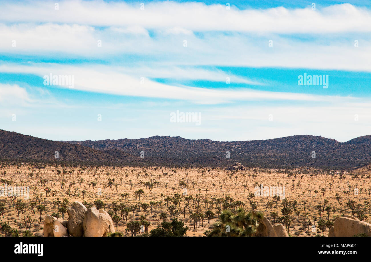 Beauty of desert hi-res stock photography and images - Alamy