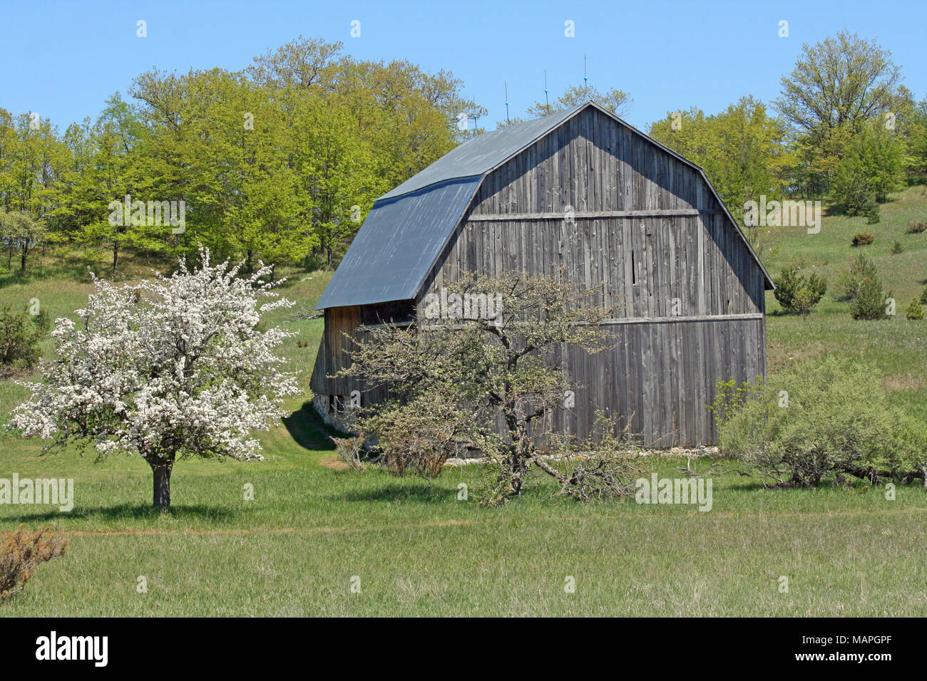 Country landscape in Michigan Stock Photo - Alamy