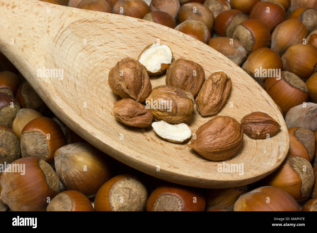 Hazelnut in shell hi-res stock photography and images - Alamy