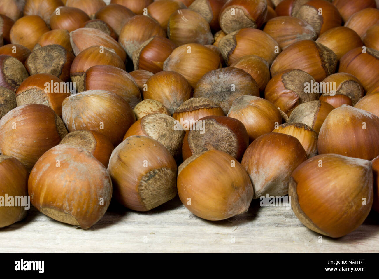 Hazelnut in shell hi-res stock photography and images - Alamy