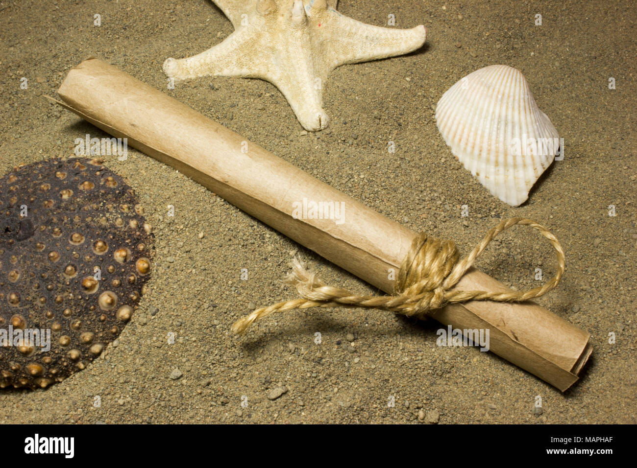Sea shells, Message Paper scroll on sand Stock Photo - Alamy