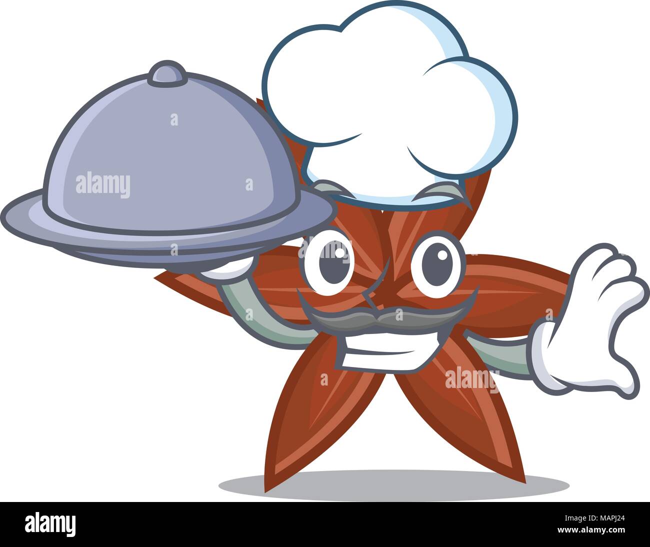 Chef with food anise mascot cartoon style Stock Vector Image & Art - Alamy