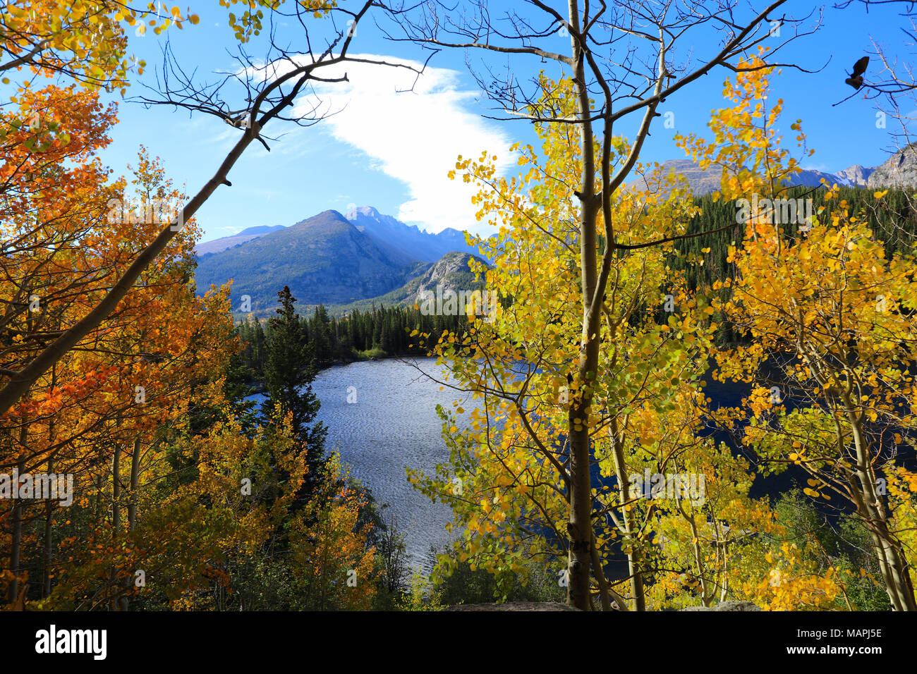 Rocky mountain national park bear lake hi-res stock photography and ...