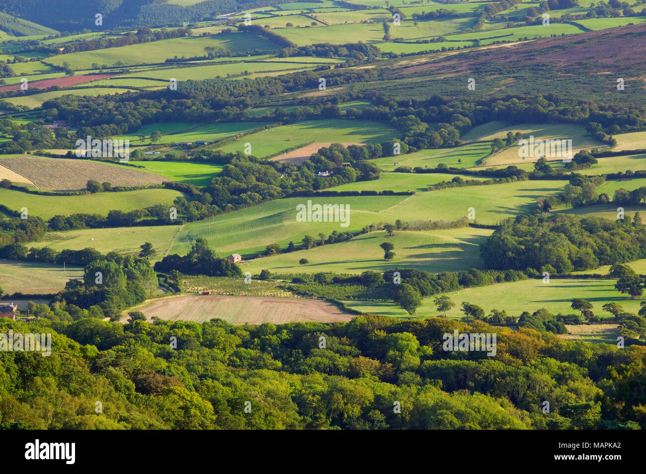 Selworthy beacon england hi-res stock photography and images - Alamy