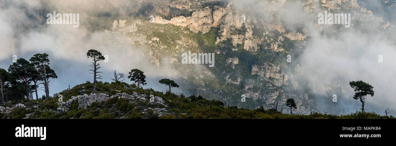 Wild landscape at the tops of Puertos de Beceite National Park ...