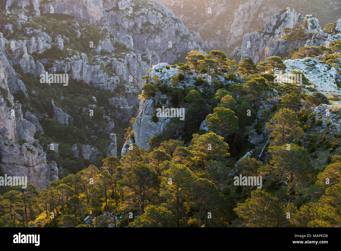 Parque natural de los puertos hi-res stock photography and images - Alamy