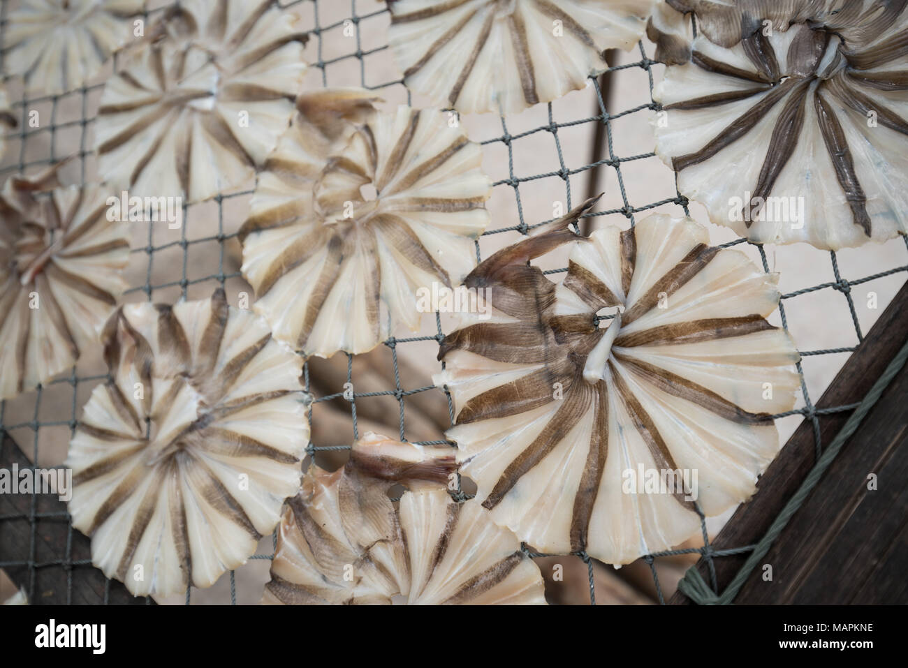 Heat from sunlight hi-res stock photography and images - Alamy