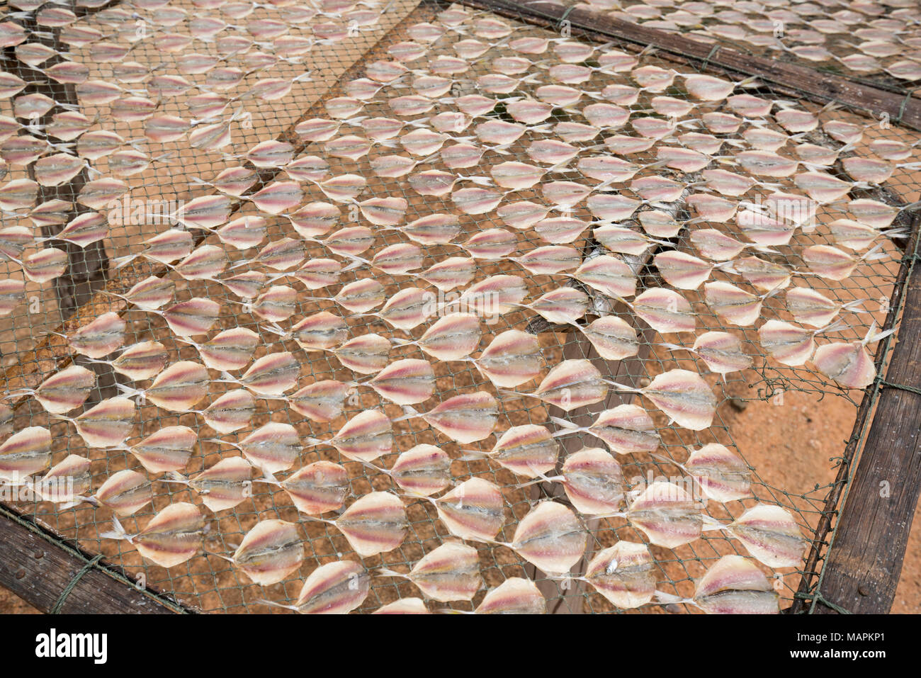 Dry mackerel fish hi-res stock photography and images - Alamy