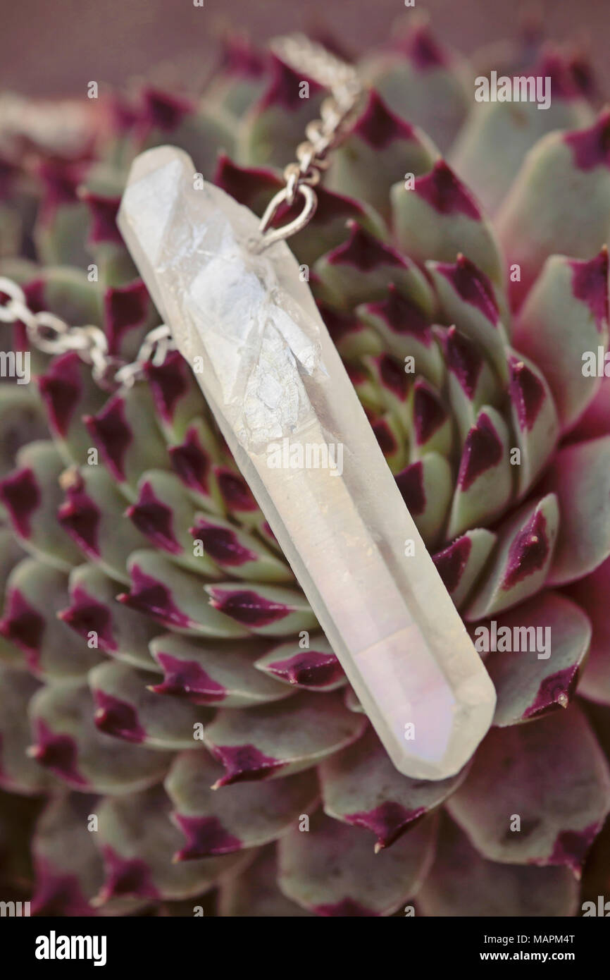 Natural shape of crystal quartz stone pendant on houseleek background ...