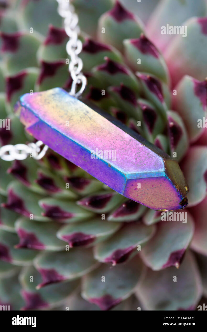 Natural shape of crystal quartz stone pendant on houseleek background ...