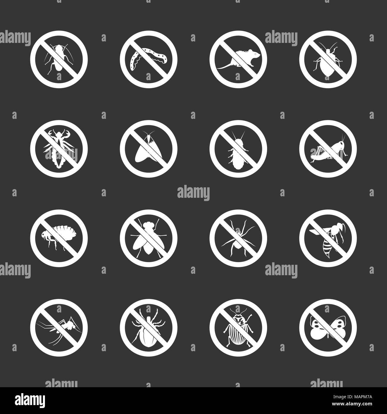 No insect sign icons set grey vector Stock Vector Image & Art - Alamy