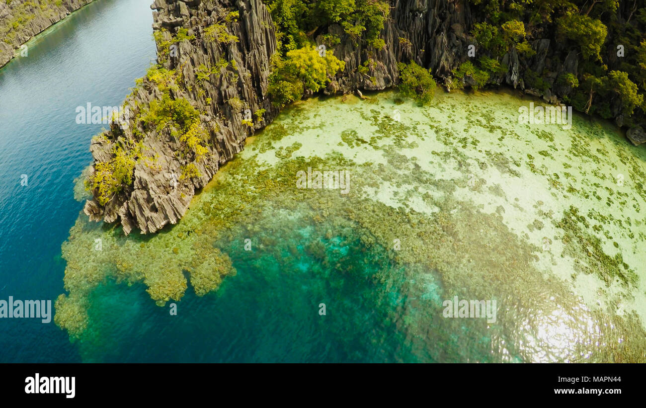 Coron, Palawan, Philippines, aerial view of beautiful Twin lagoon and ...