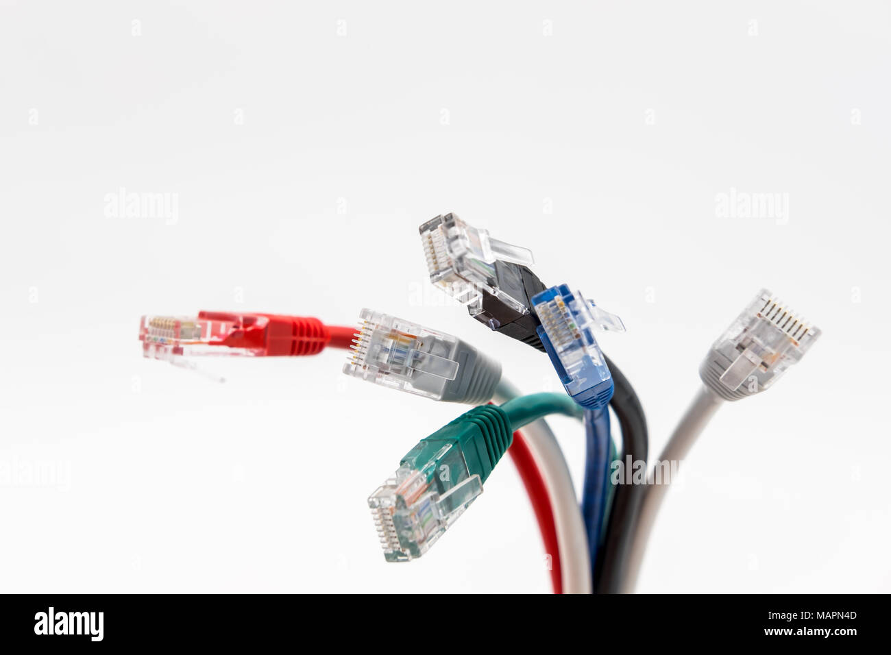 Close-up view of Cat5e Patch Leads used for network connections ...