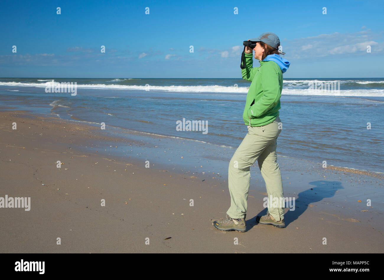 Open beach, Canaveral National Seashore, Florida Stock Photo - Alamy