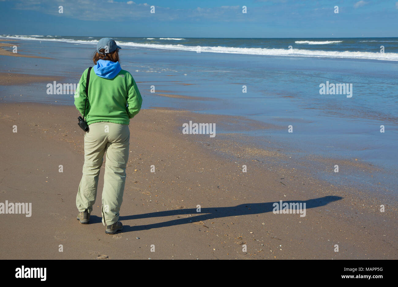 Open beach, Canaveral National Seashore, Florida Stock Photo - Alamy