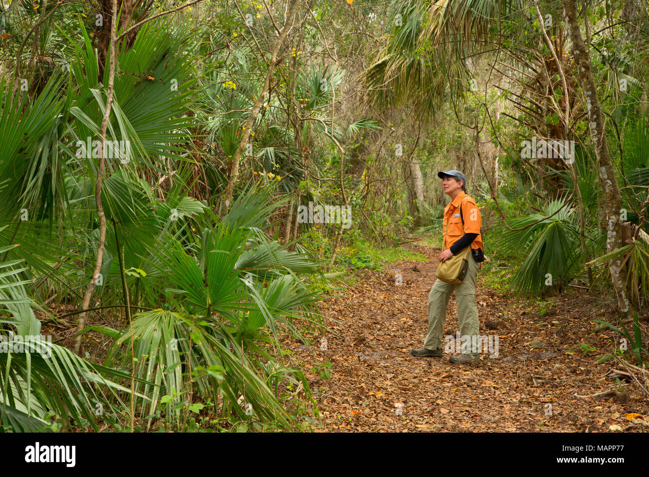 Biodiversity loop hi-res stock photography and images - Alamy