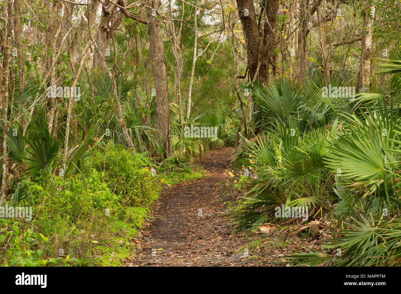 Enchanted Forest Sanctuary Florida Earth Day Celebration At The