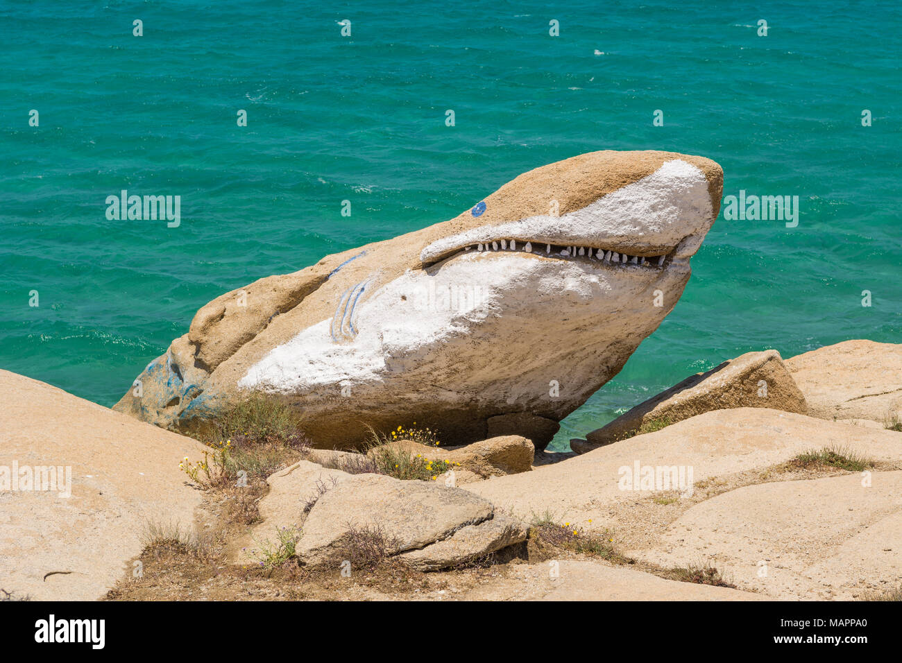 Crystal shark hi-res stock photography and images - Alamy