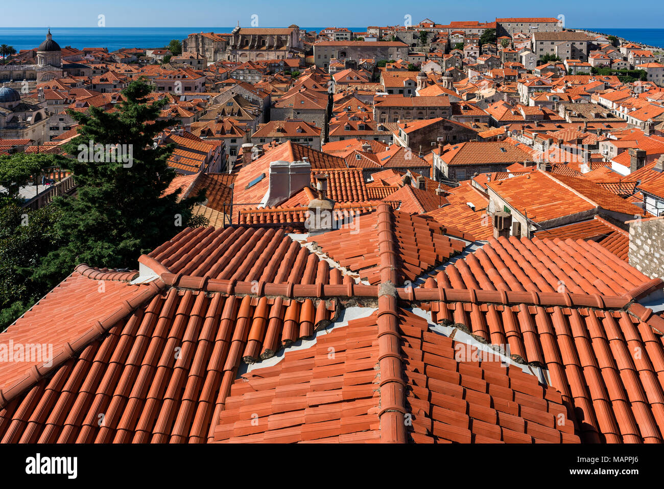 Kathedrale dubrovnik hi-res stock photography and images - Alamy