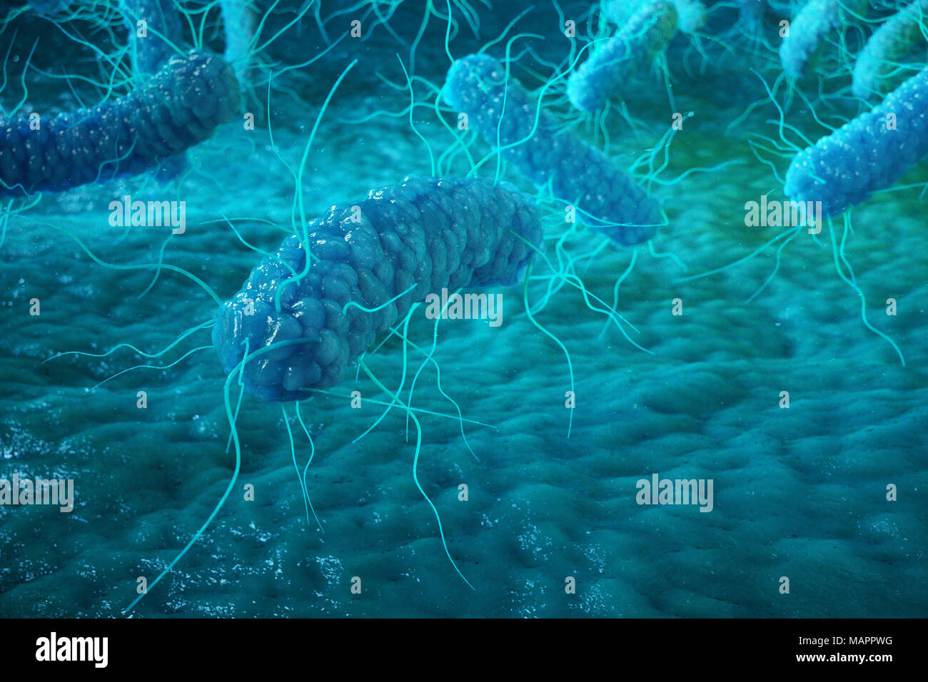 Mycobacterium tuberculosis microscope hi-res stock photography and ...