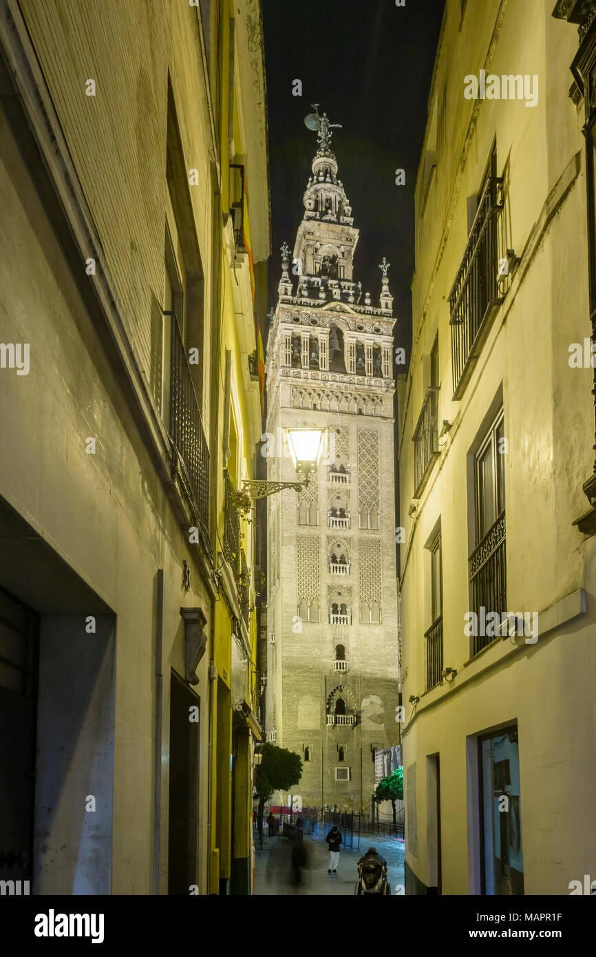 Catedral de sevilla night hi-res stock photography and images - Alamy
