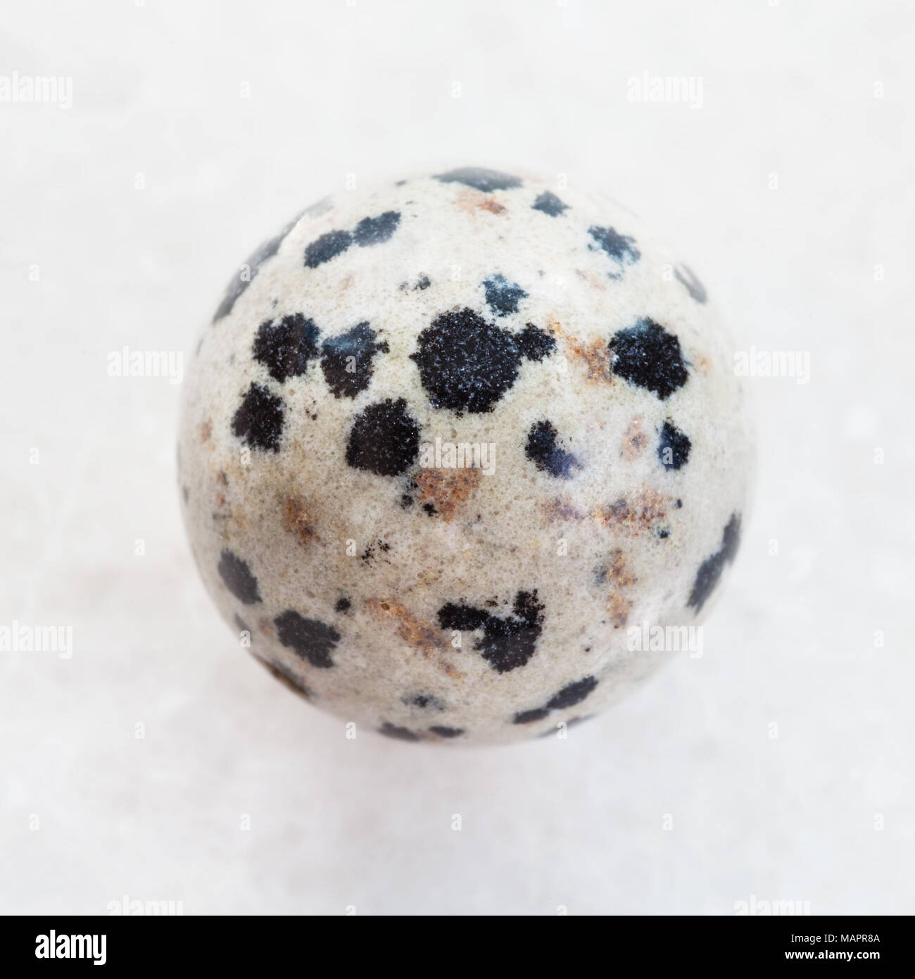Dalmation jasper hi-res stock photography and images - Alamy