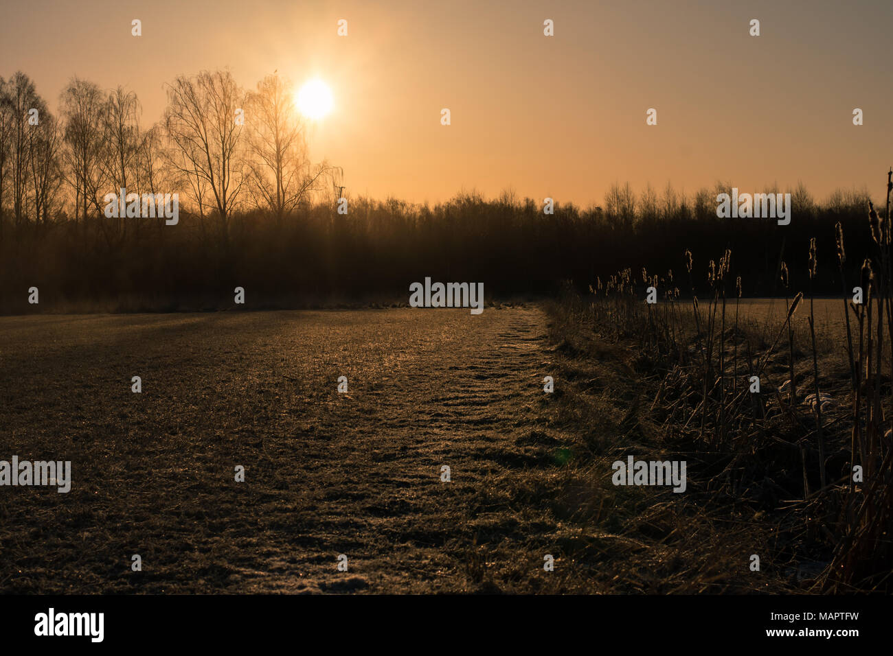 sunrise over a field Stock Photo - Alamy