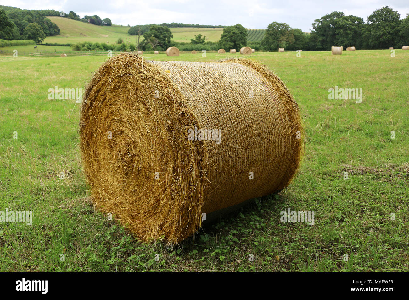 With round straw bale hi-res stock photography and images - Alamy