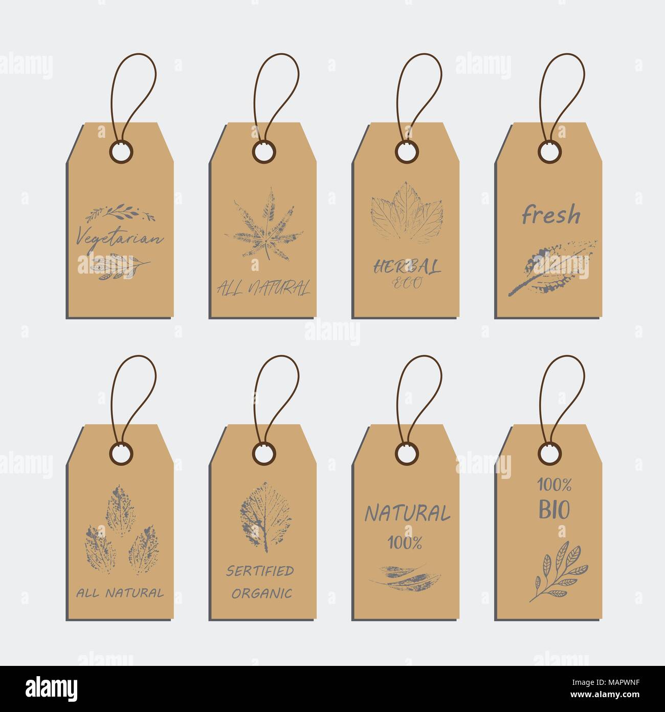 Set of organic food tag and label sticker design elements Stock Vector ...