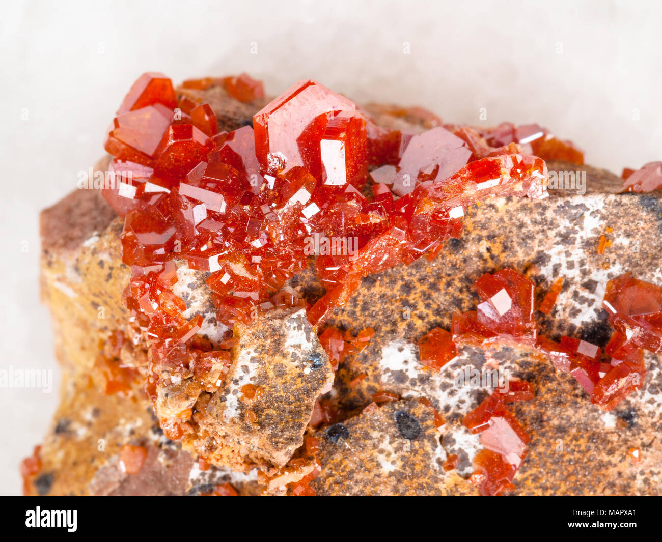 macro shooting of natural mineral rock specimen - druse of Vanadinite ...